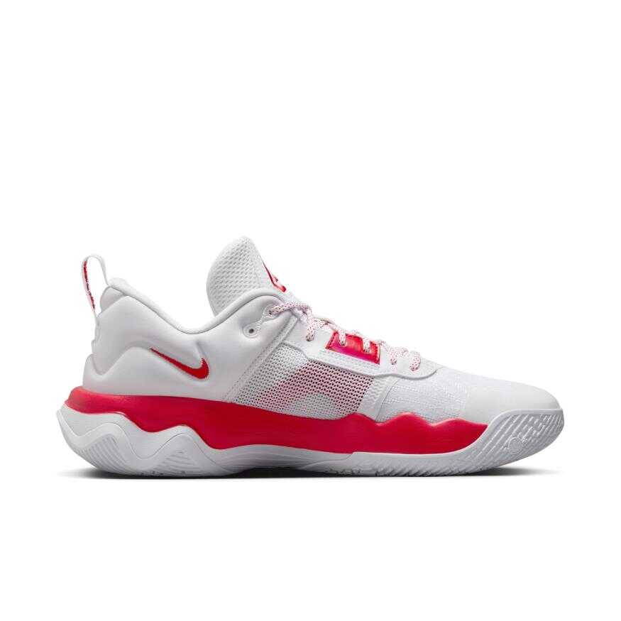 Nike Giannis Immortality 3 Asw Erkek Basketbol Ayakkabısı FV4057-600